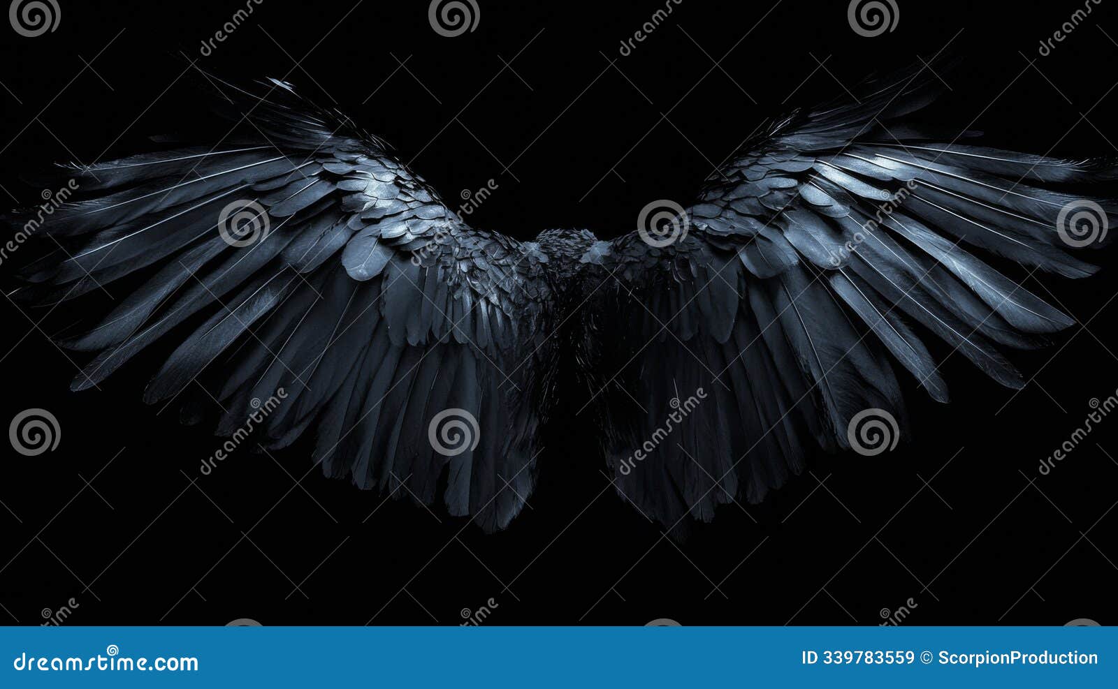 Dark Raven Wings in Dramatic Light Stock Image - Image of wingspan ...