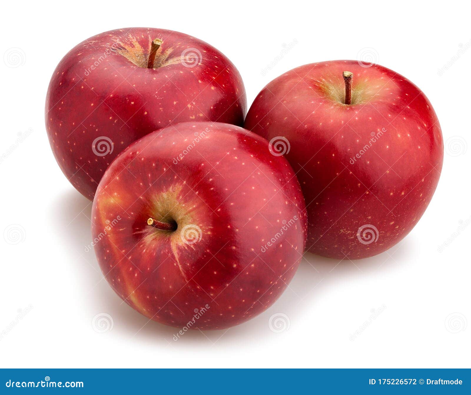 Dark red apples stock photo. Image of dark, isolated - 175226572