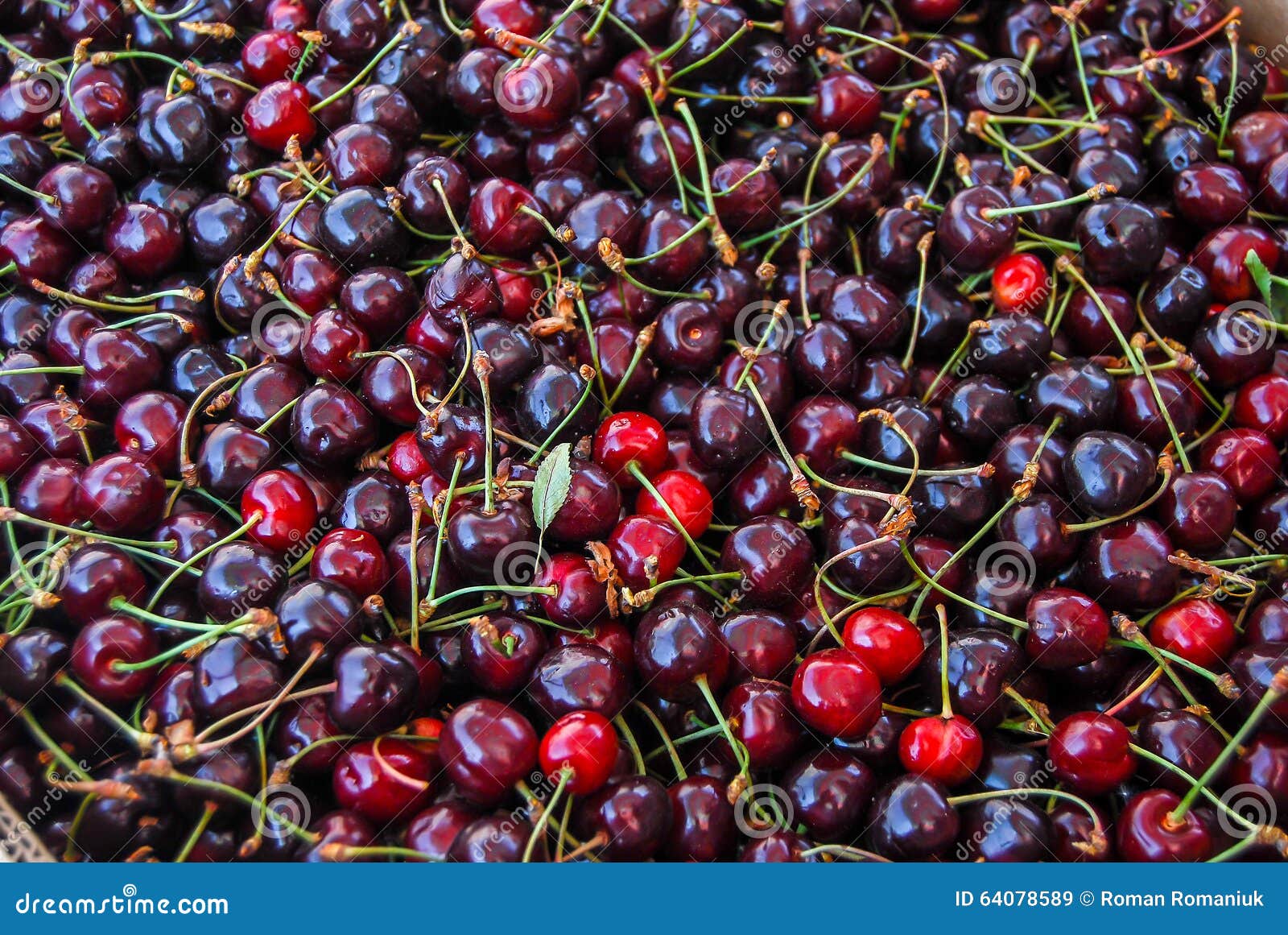 Dark red cherries stock image. Image of agriculture, healthy - 64078589