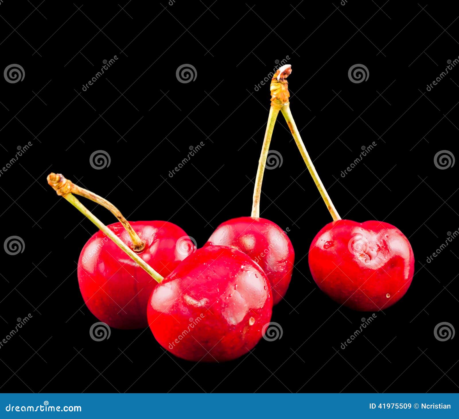 Dark-Red Cherries, Isolated, Black Background Stock Image - Image of ...