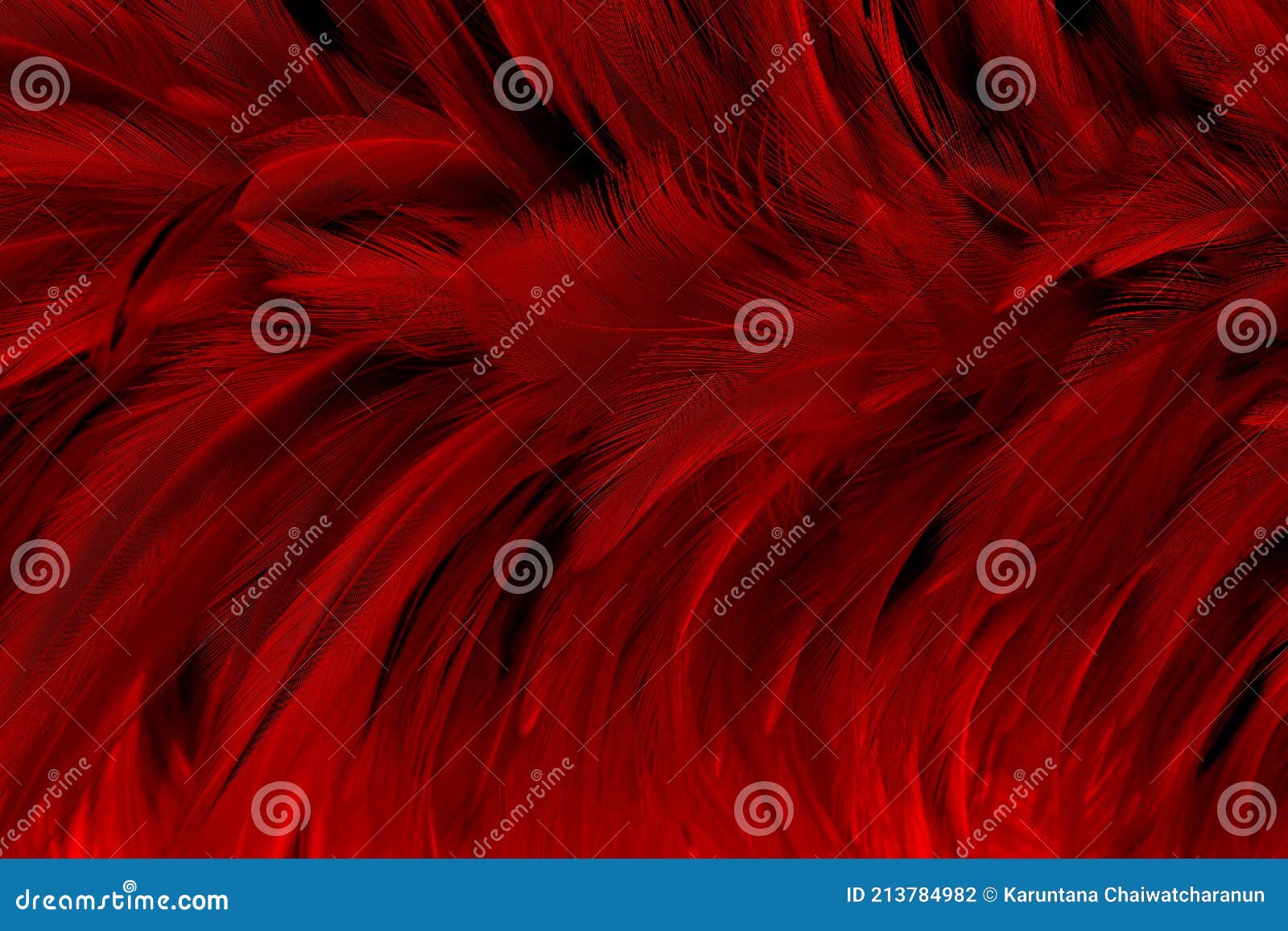 Dark Red Color Bird Feather Pattern Texture for Background and Design ...