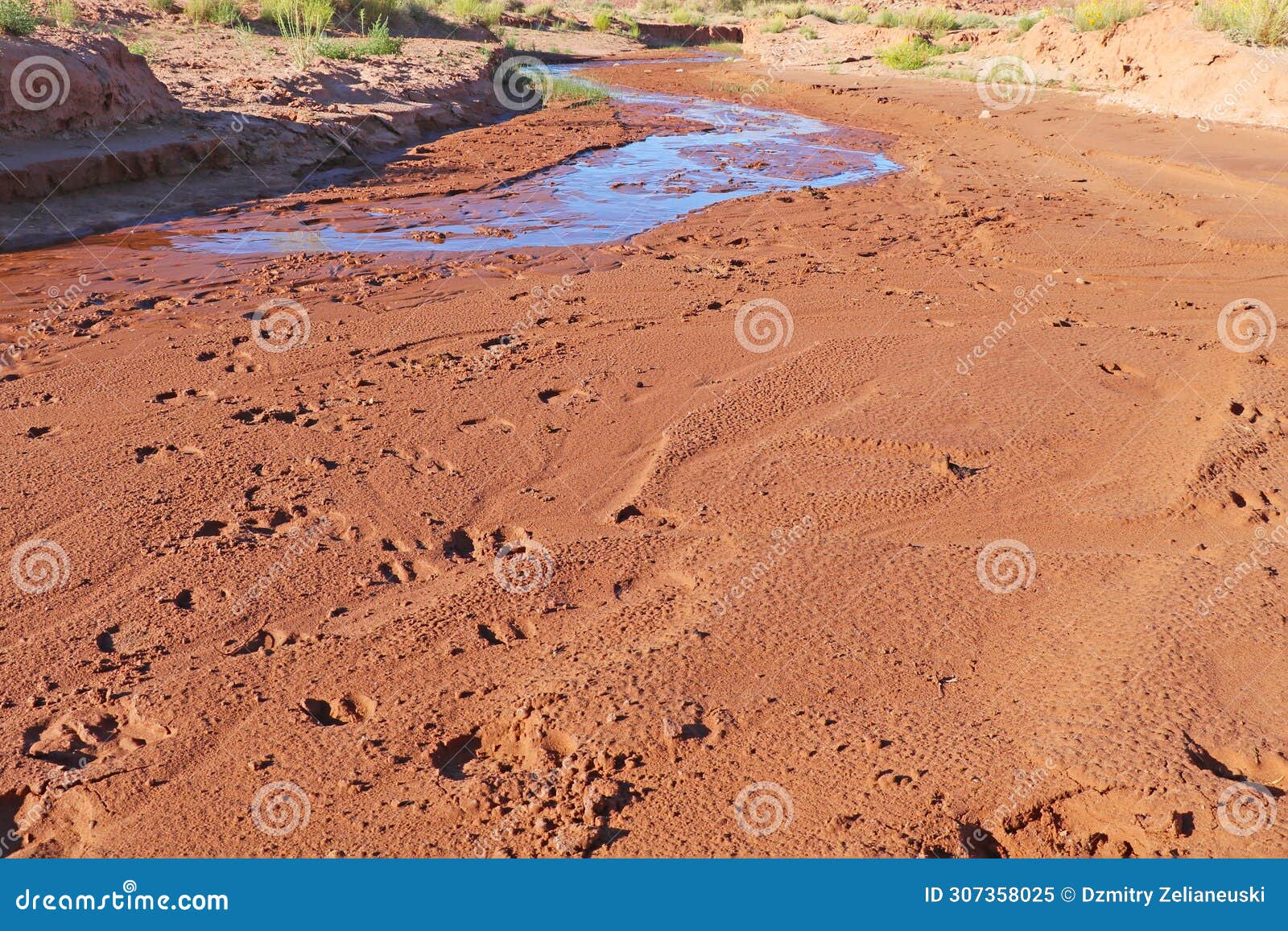 Dark Red Earth after Rain, Sand Texture. Stock Image - Image of water ...