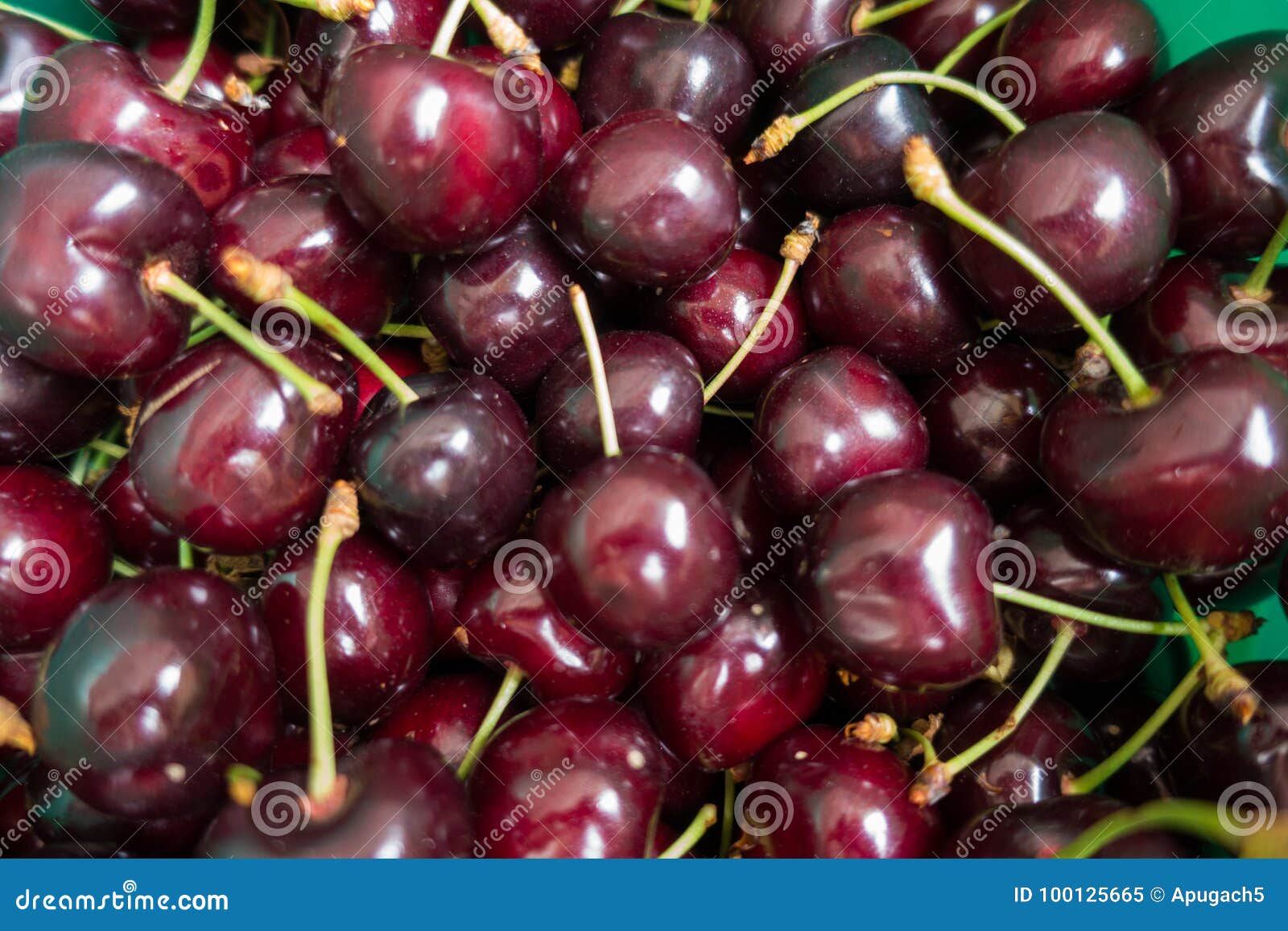 Dark Red Field Fresh Ripe Sweet Cherries Stock Image - Image of carmine ...