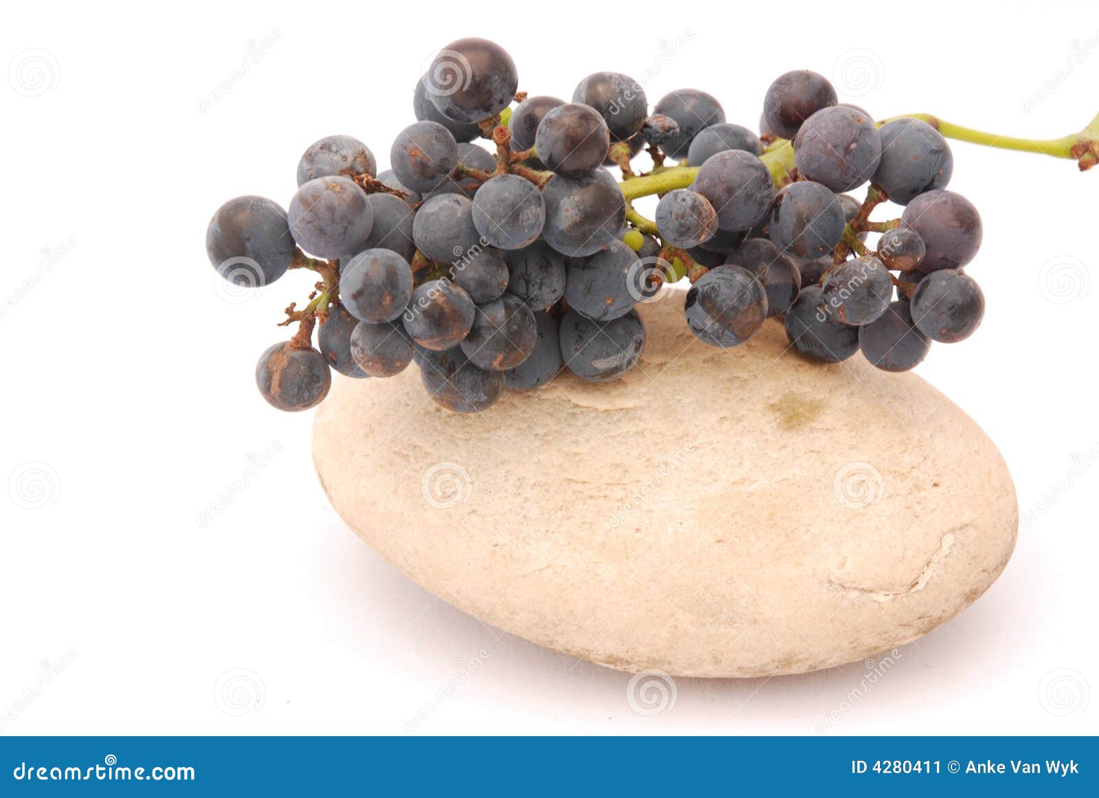 Dark red grapes on stone stock image. Image of rock, smooth - 4280411