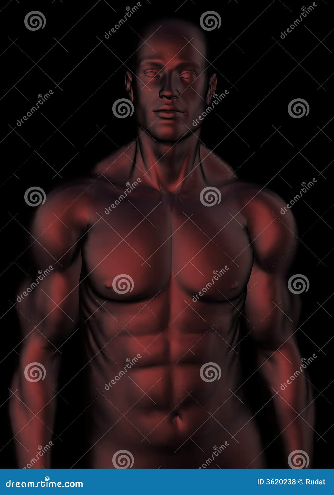 Dark red male torso stock illustration. Illustration of muscular - 3620238