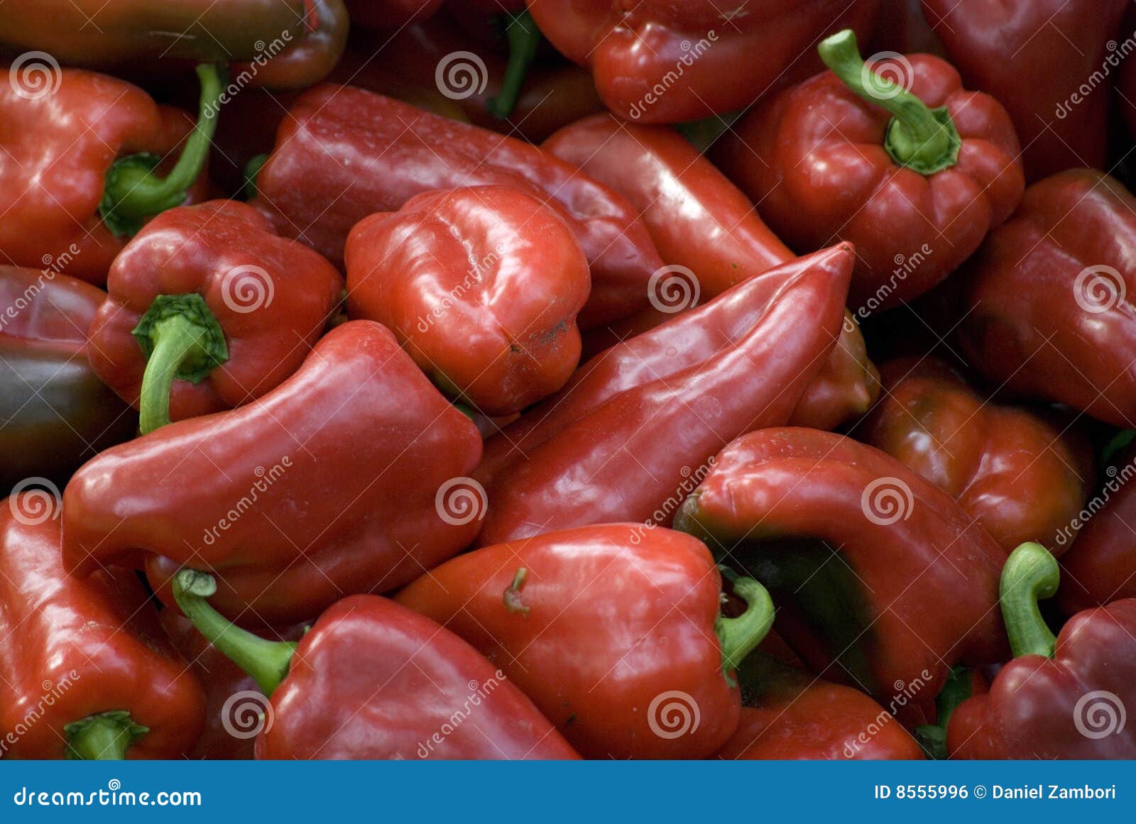 Dark red paprika stock photo. Image of vegetable, ingredient - 8555996