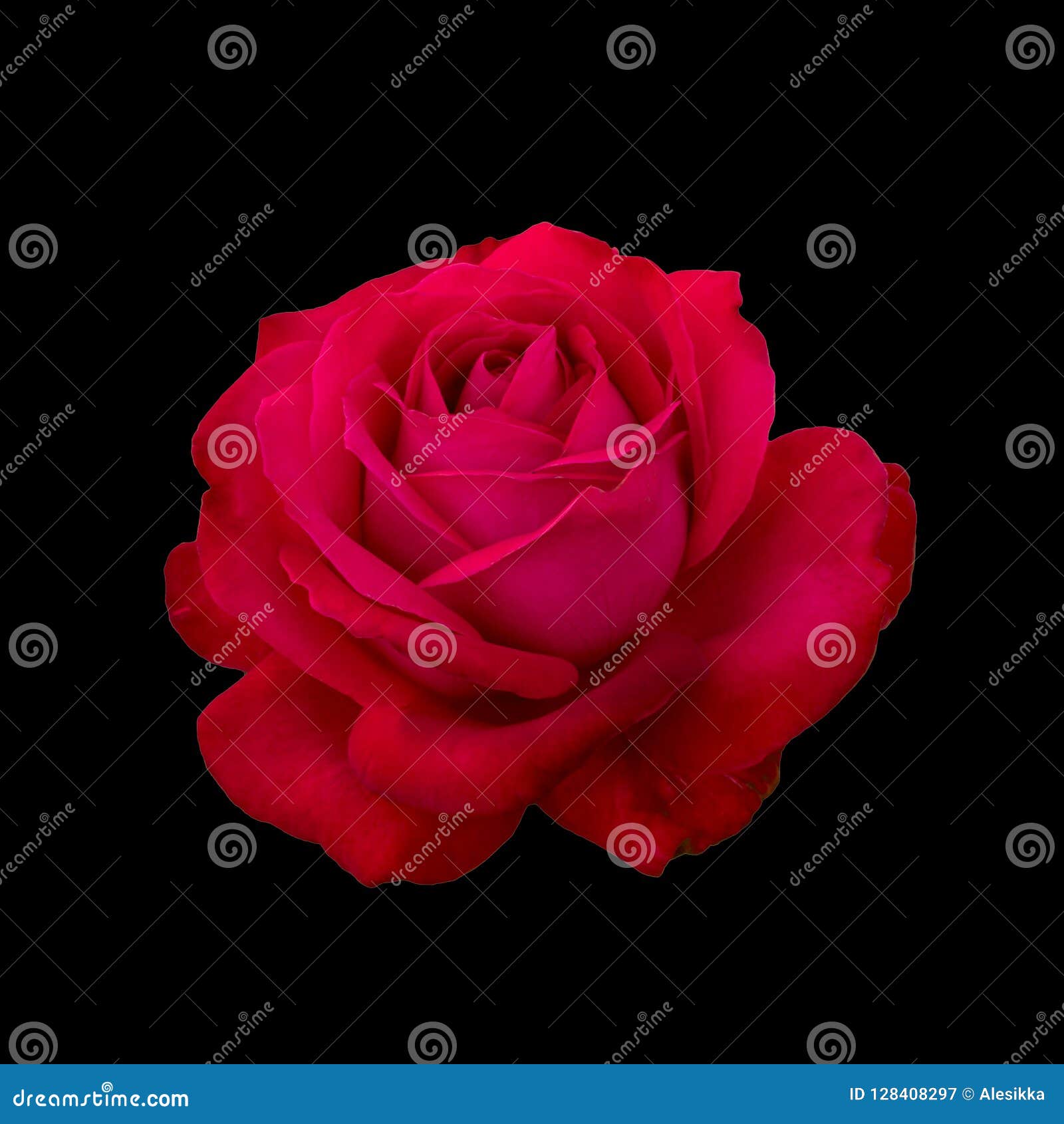 Dark red rose stock image. Image of colors, black, romance - 128408297
