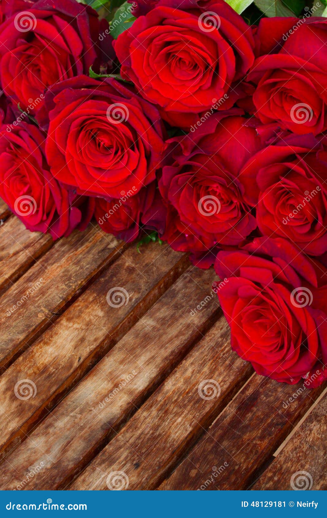 Dark red roses on table stock image. Image of bright - 48129181