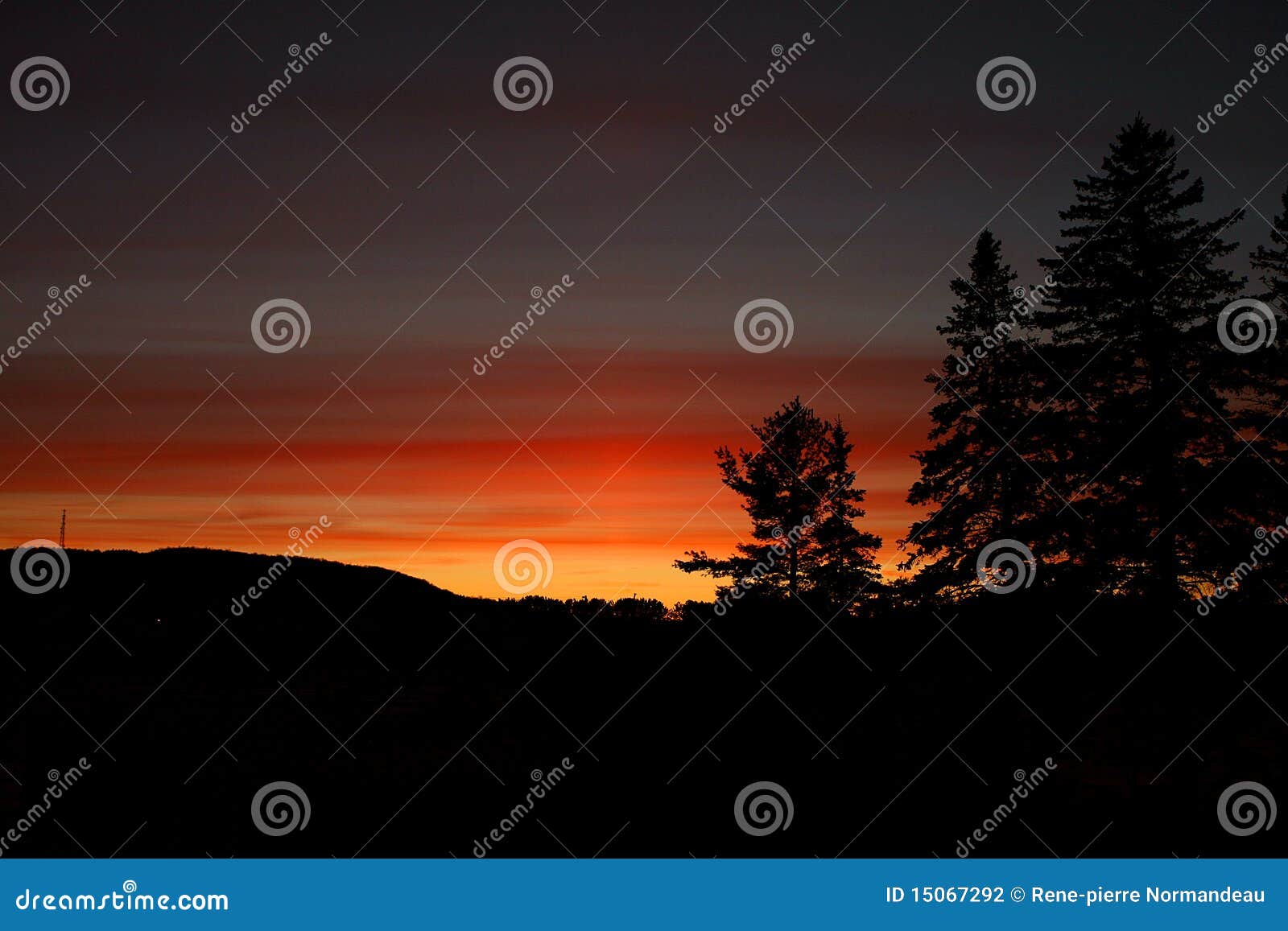 Dark Red Sunset with Pine Cone Trees Silouhette Stock Photo - Image of ...