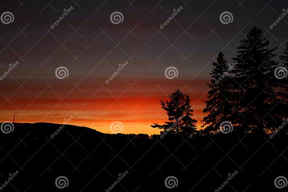 Dark Red Sunset with Pine Cone Trees Silouhette Stock Photo - Image of ...