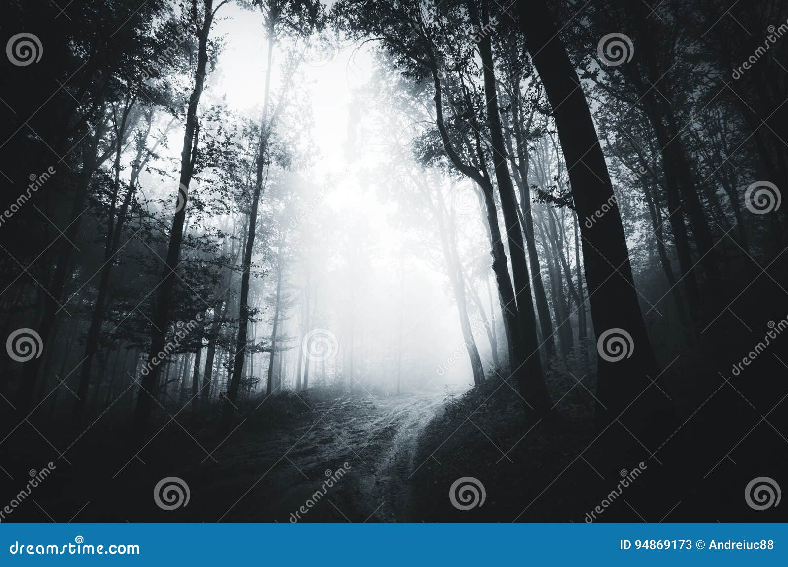 Haunted Forest Night Scene With Ghost Royalty-Free Stock Photo ...