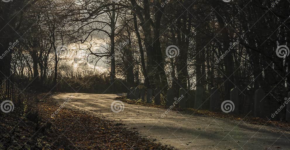 Dark road in winter time stock photo. Image of mystery - 81949546