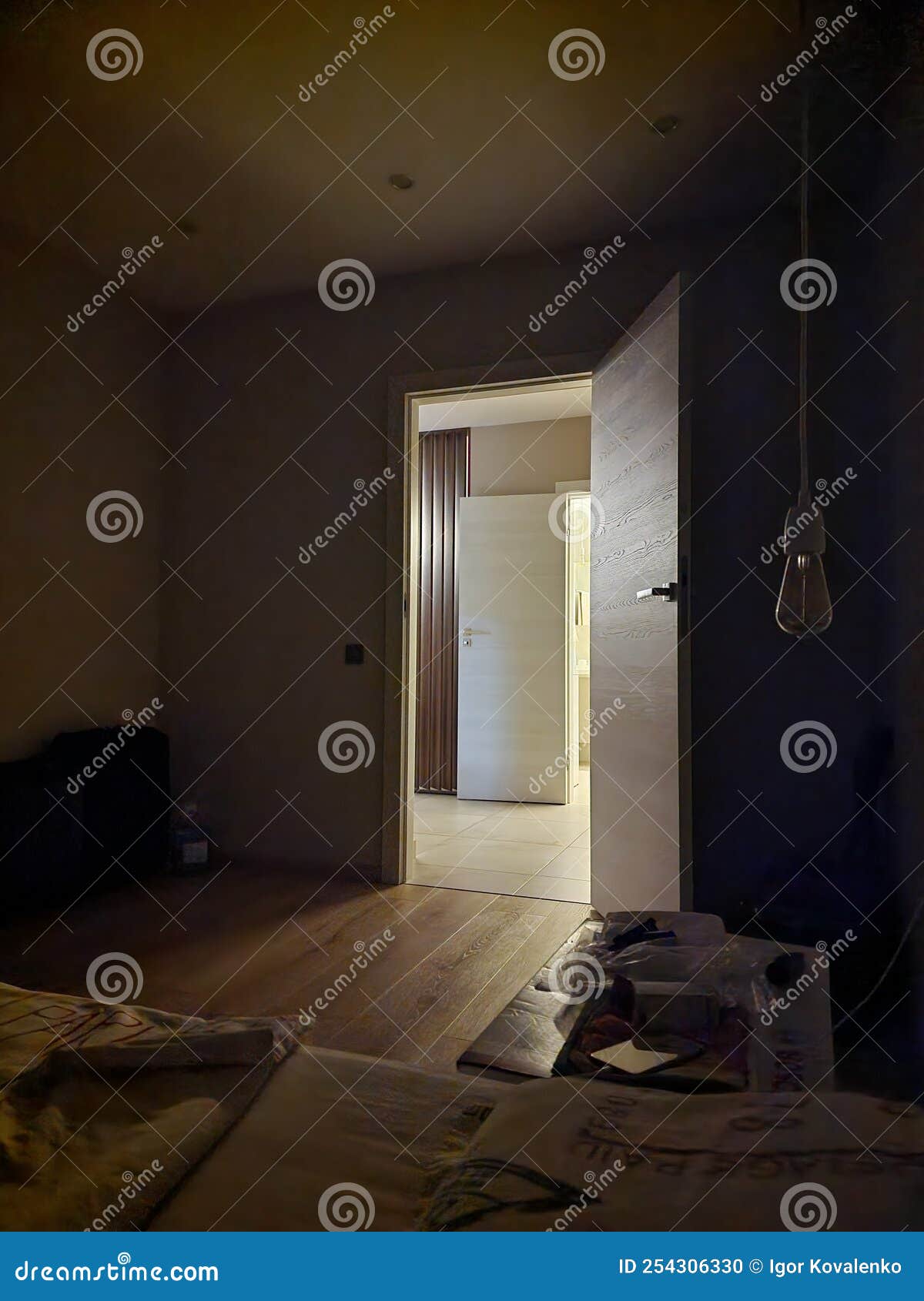 Dark Room without Light and Door Interior Stock Photo - Image of ficus ...