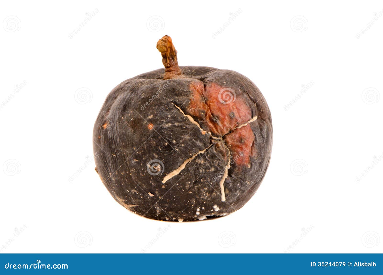 Dark Rotten Apple Fruit Isolated On White Stock Image - Image of dirty ...
