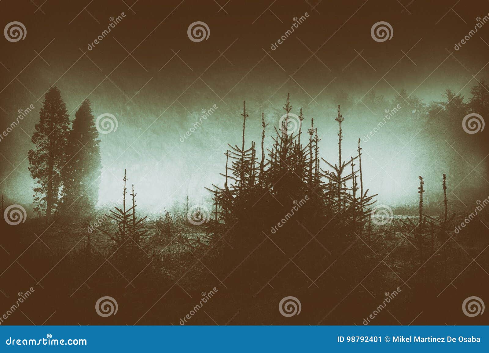 Dark and scary landscape stock image. Image of cold, nightmare - 98792401