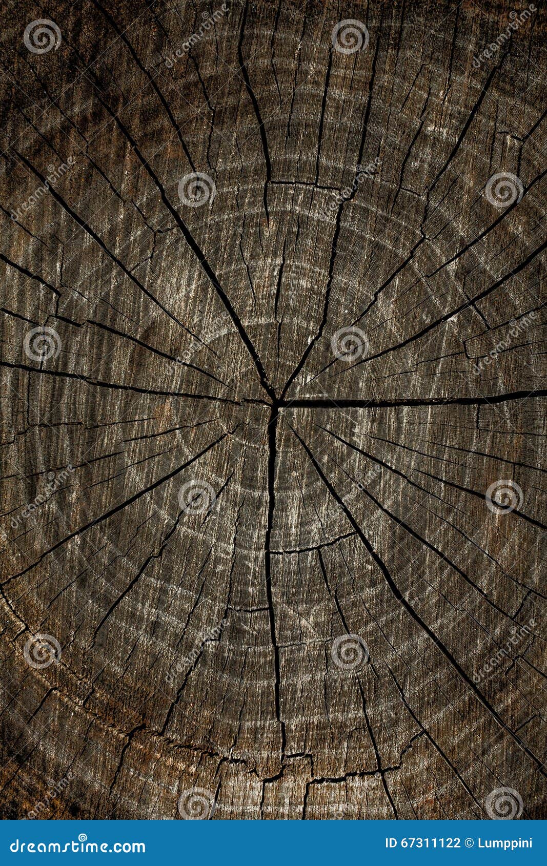 Dark Scratched Wood Texture with Cracks.vertical Wood Texture Stock ...