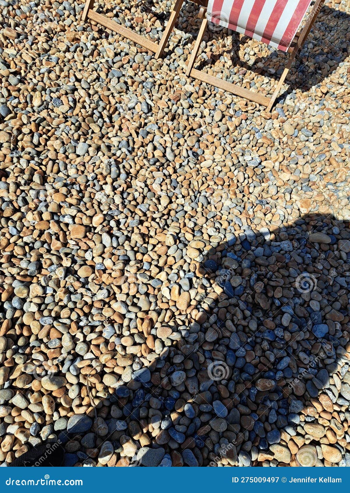 Shadow on the Pebbles on the Beach Stock Image - Image of leaf, dark ...
