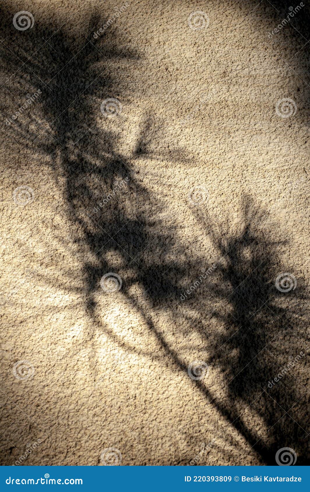 Dark Shadow of a Tree on a Concrete Wall Stock Image - Image of natural ...