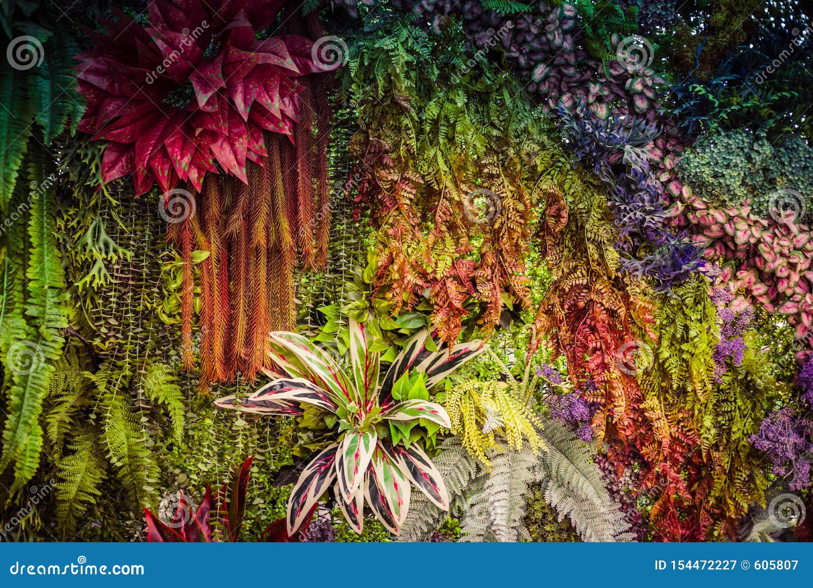 Dark Shadow of Tropical Leaves Background. Stock Image - Image of ...