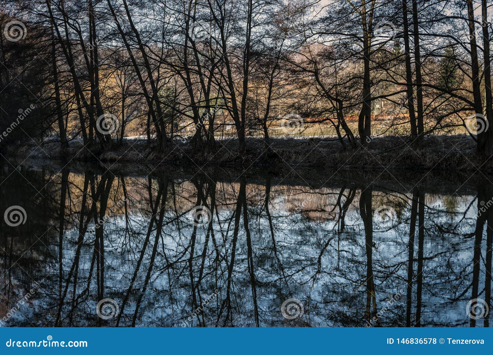 Dark Shadows of a Row of Trees on the Banks of a River Reflecting on ...
