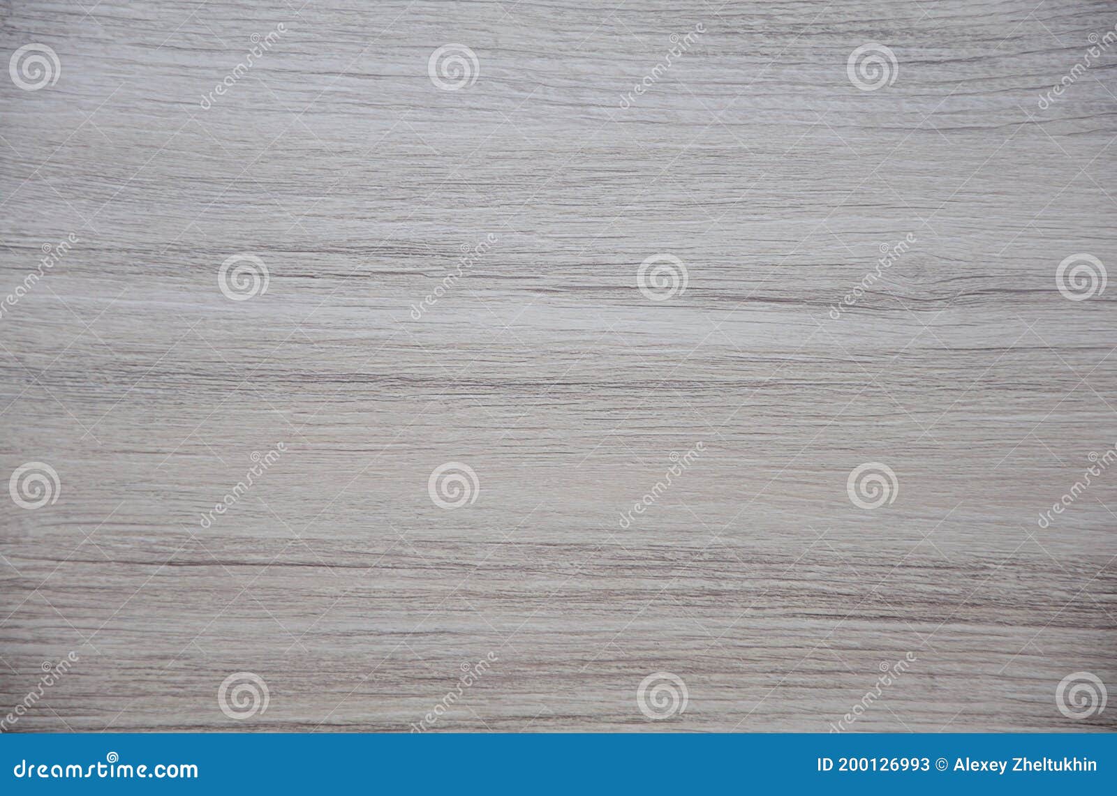 Dark Shimo Ash, Close-up of a Flat Surface of Natural Wood Stock Image ...