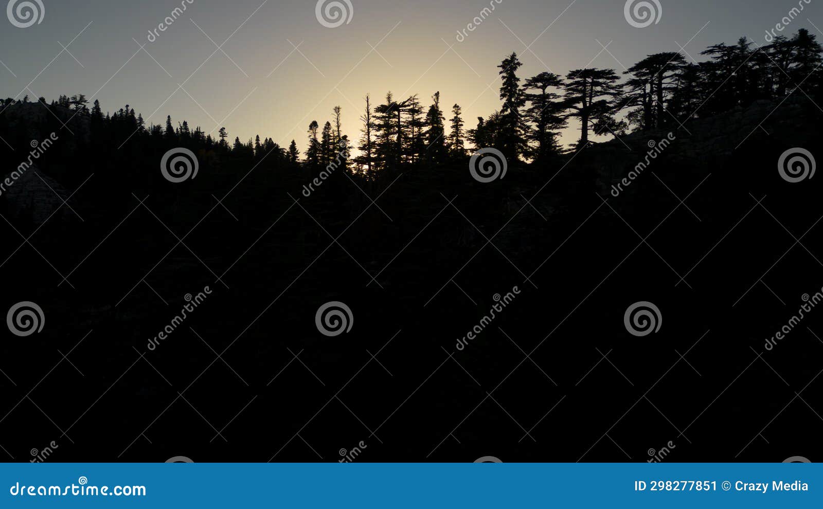 Dark Side of the Forest at Sunset and Silhouette of Trees Stock Image ...
