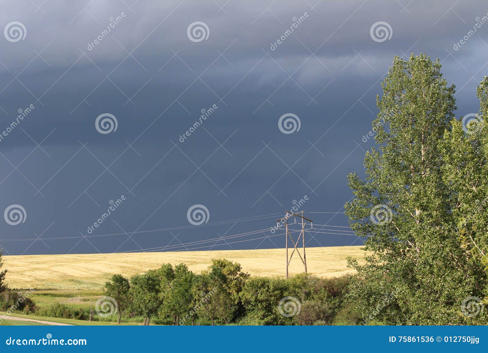 Dark Skies of a Prairie Storm Stock Photo - Image of grain, prairie ...