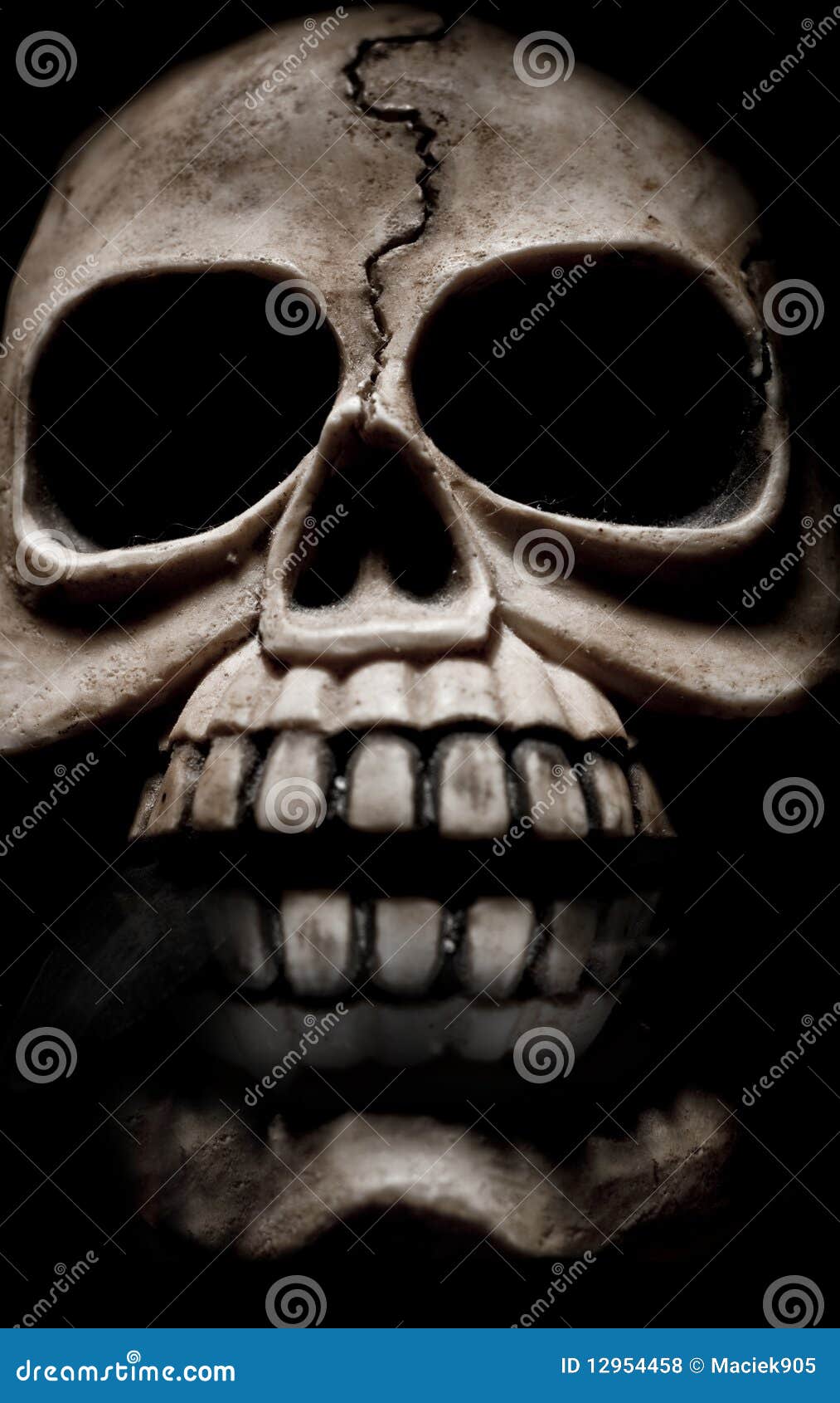 Dark skull horror picture stock photo. Image of danger - 12954458