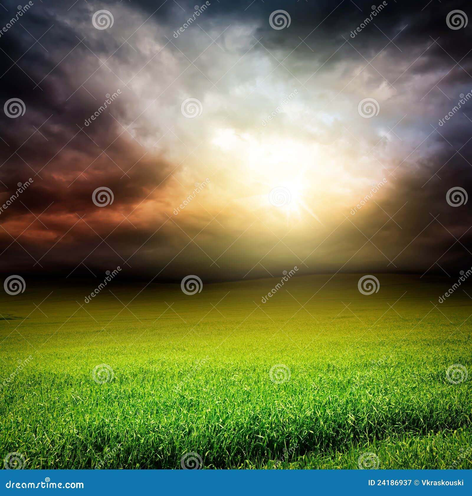 Dark Sky Green Field of Grass with Sun Light Stock Image - Image of ...