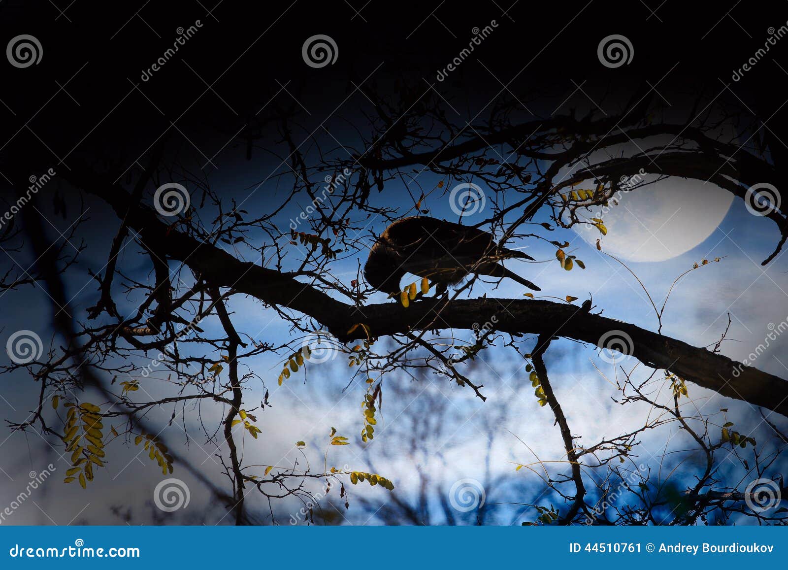 Dark sky and tree stock image. Image of distant, light - 44510761