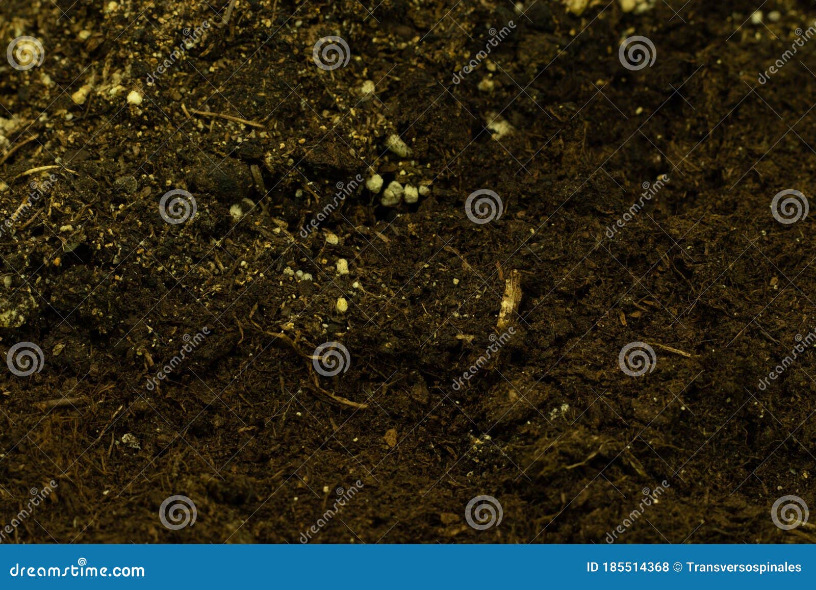 Substrate Ground For Outdoor Fungiculture, Workspace Into A Mushroom ...