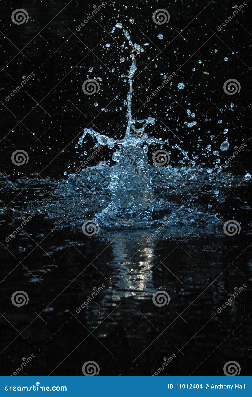 Dark Splash stock photo. Image of motion, drip, water - 11012404