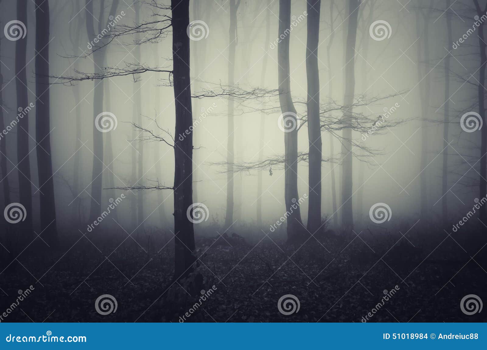 Dark Spooky Forest with Blue Fog Stock Photo - Image of magic, leaves ...