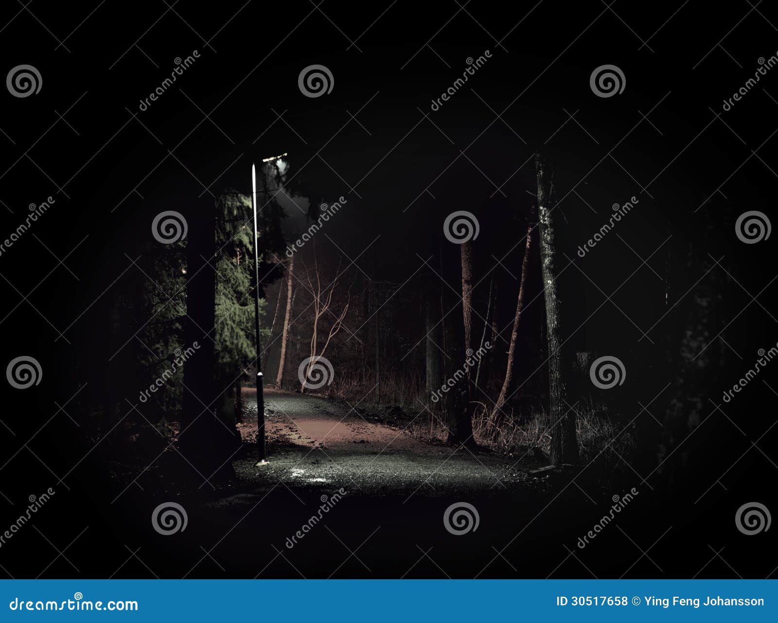 Dark spooky path stock photo. Image of tree, spooky, unpleasant - 30517658
