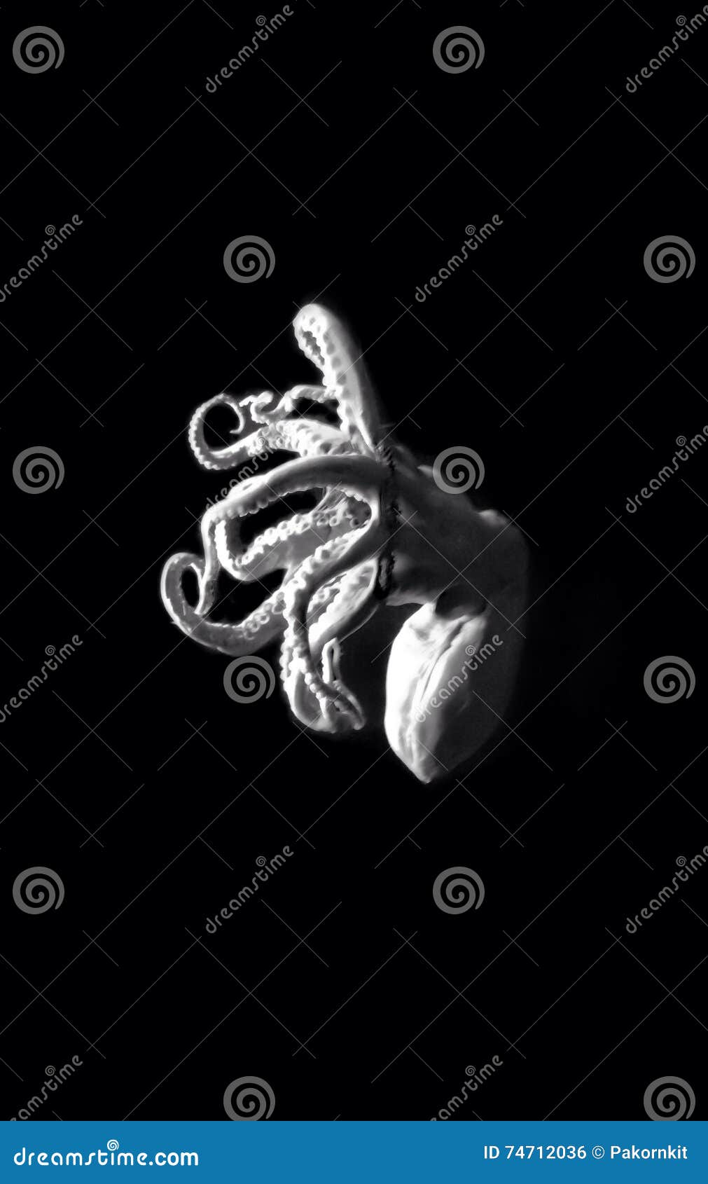 Dark squid stock photo. Image of dark, squid, animal - 74712036