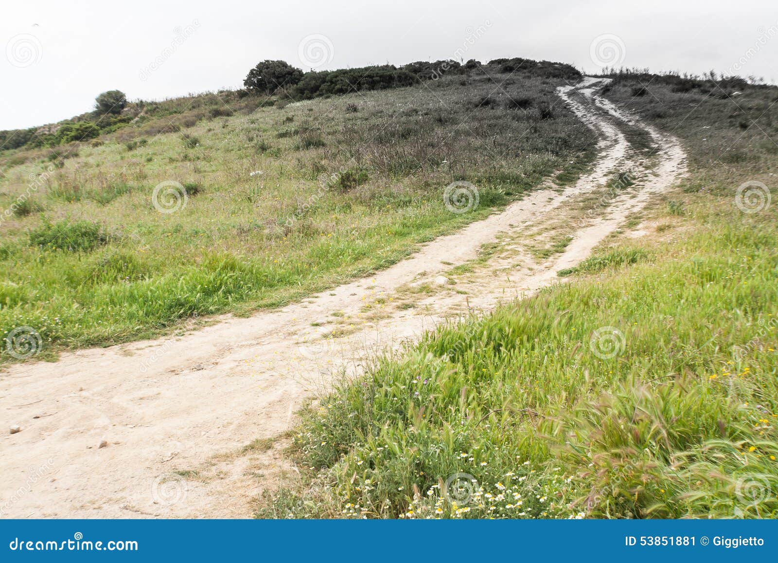 Steep Path On Lush Dravuni Island Stock Photography | CartoonDealer.com ...