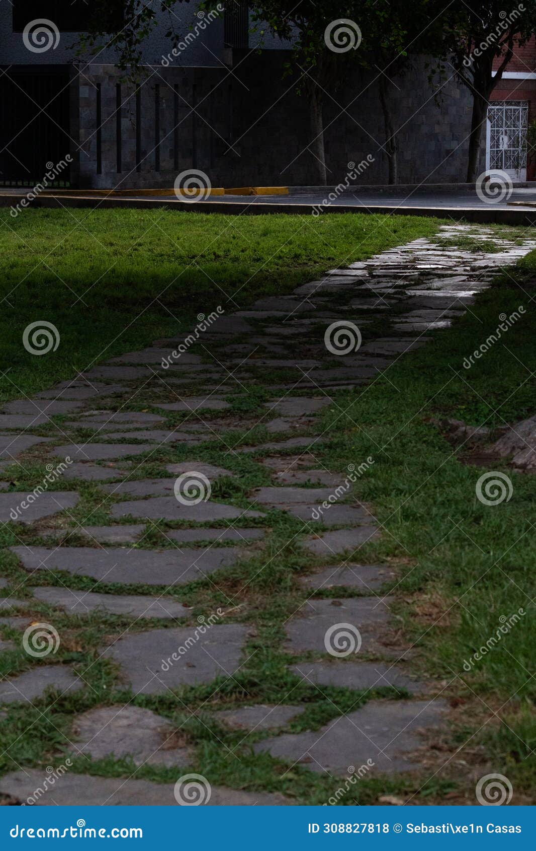 Stone path in green grass stock photo. Image of direction - 308827818