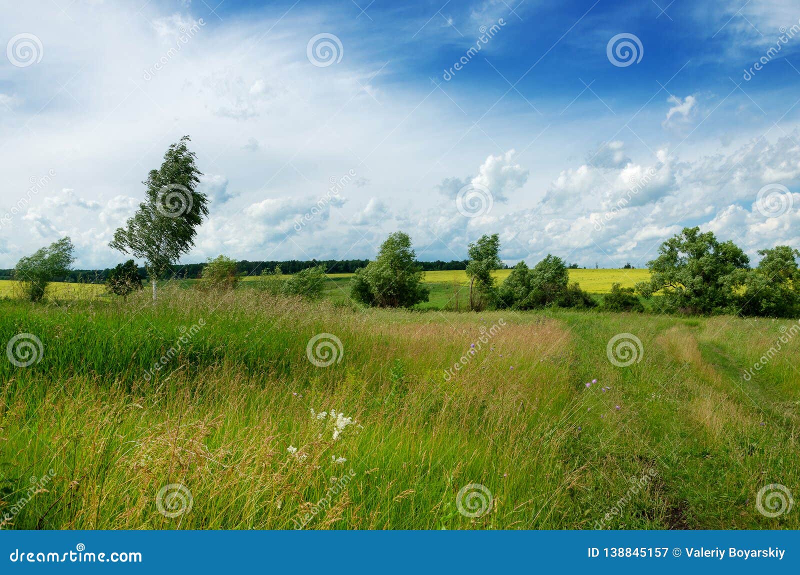 Cloudy Windy Summer Landscape with Trees and Fields. Stock Image ...