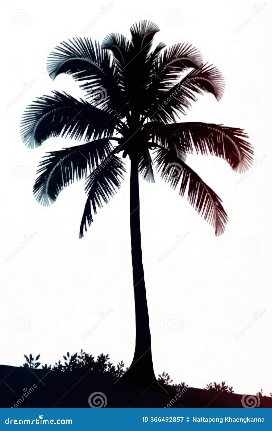 Dark, Stylized Palm Tree Silhouette On White Background , Palm, Design ...