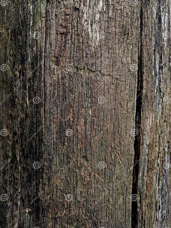 Dark Surface of a Tree Trunk Stock Image - Image of material, natural ...