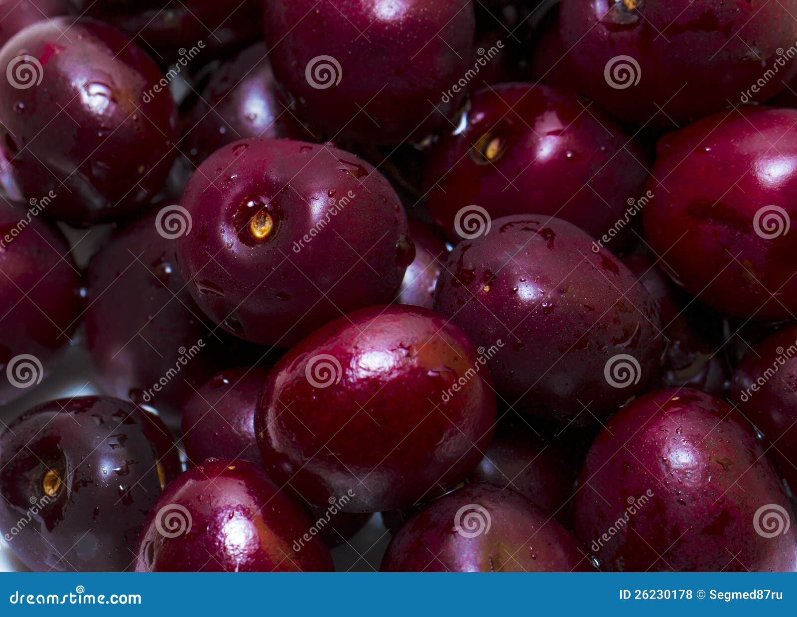 Dark sweet cherries stock photo. Image of isolated, cherry - 26230178
