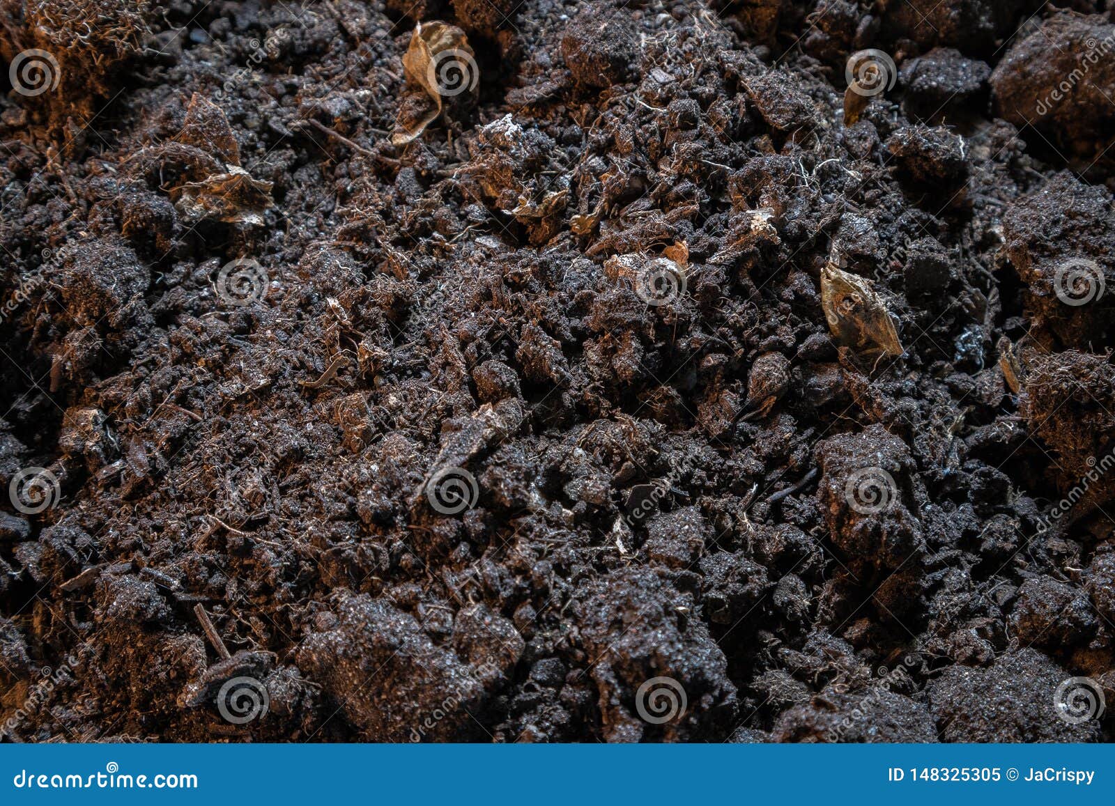 Dark Texture of Black Dirt Ground. Top View of Black Earth Surface ...