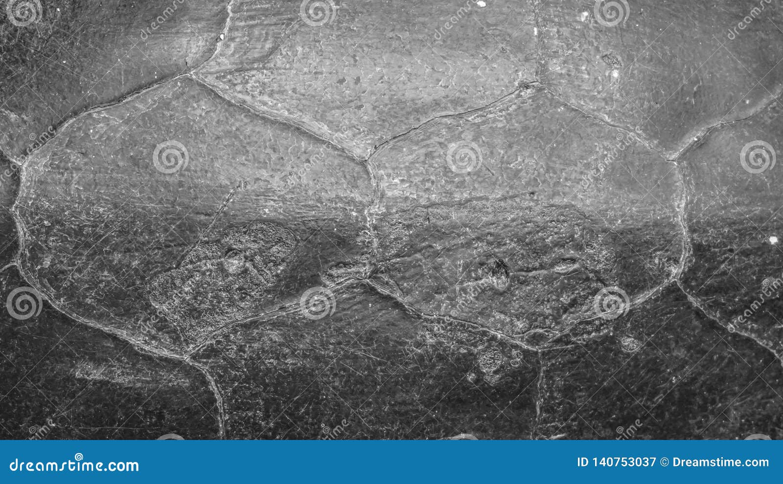 A Black Texture of the Turtle`s Shell Stock Image - Image of large ...