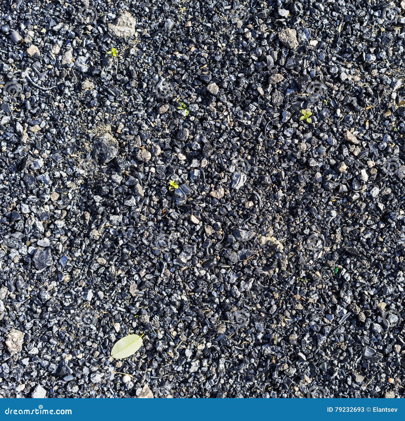 Dark Texture of Burnt Coal Stones. Stock Image - Image of burned ...