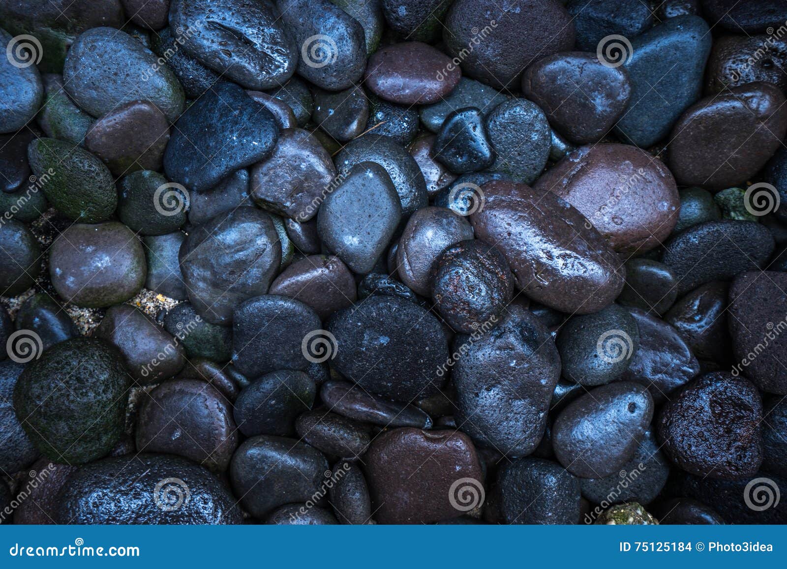 Dark Texture Pebble Closeup. Pebble Background Stock Photo - Image of ...