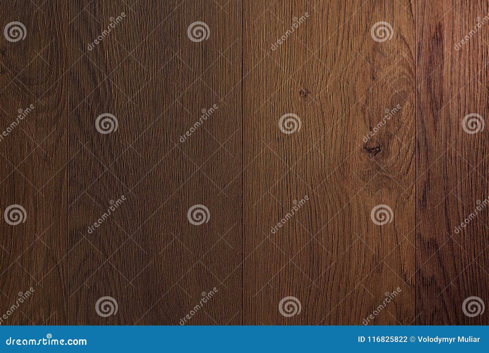 Dark Texture of Tree of the Oak Tree with Backlit Top. for Des Stock ...