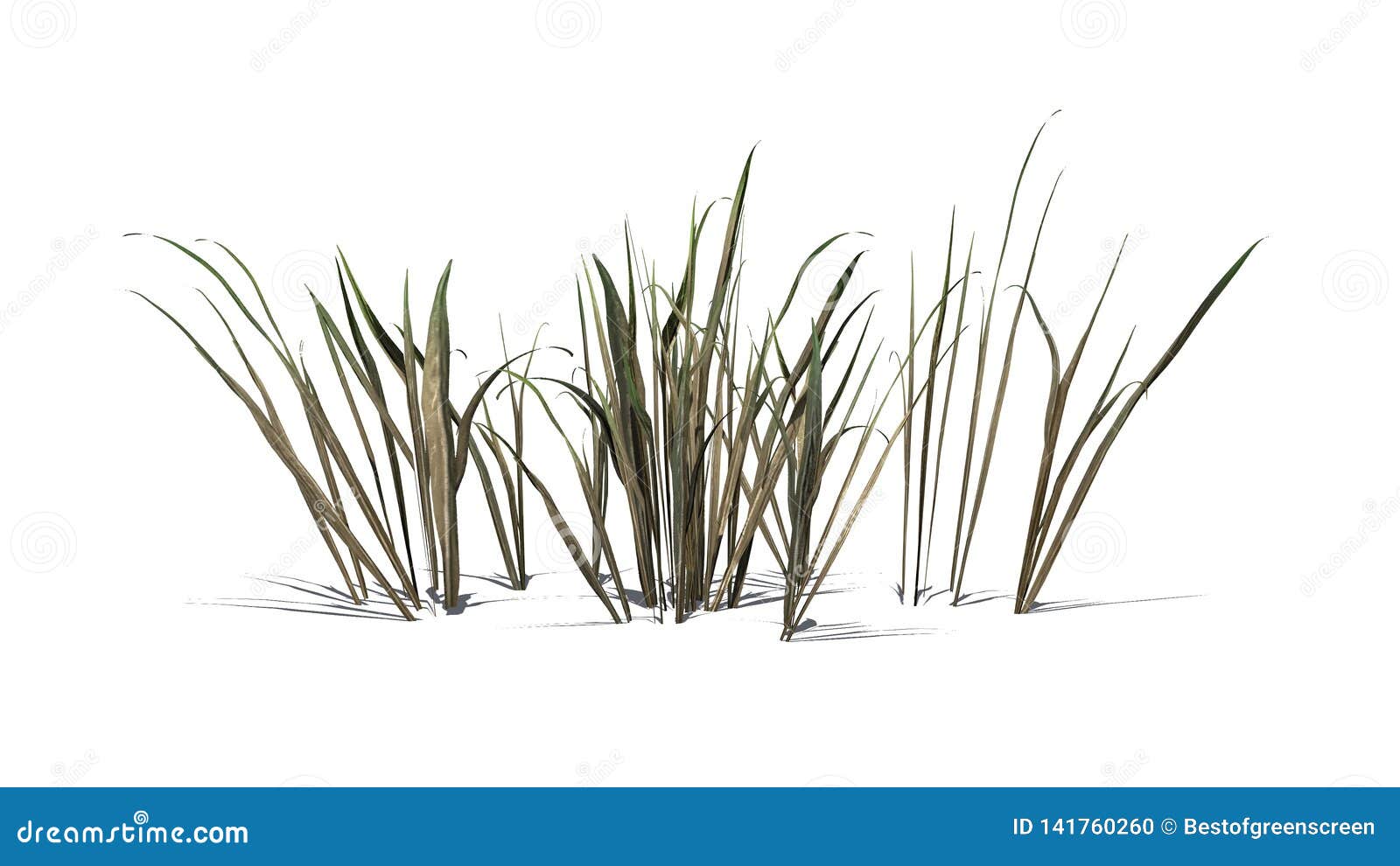 Dark Thick Grass with Shadow on the Floor Stock Illustration ...