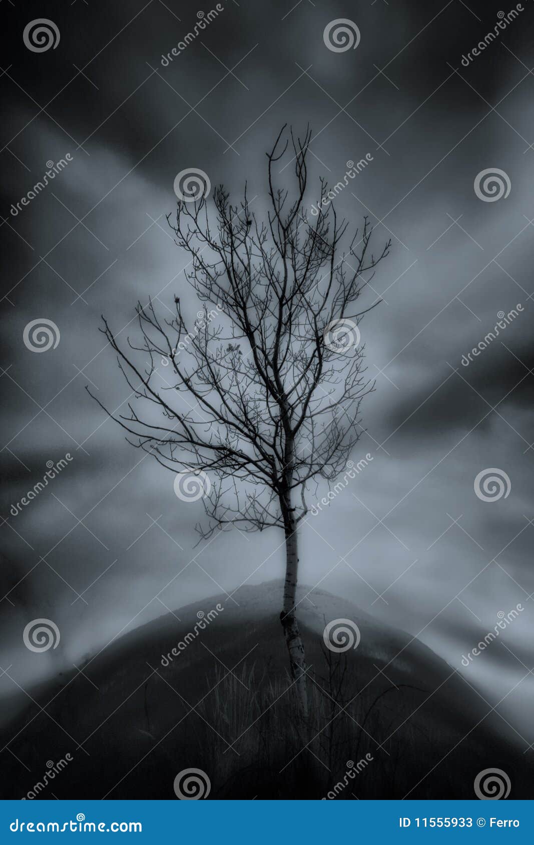 Dark Tree stock image. Image of tree, cloud, dramatic - 11555933