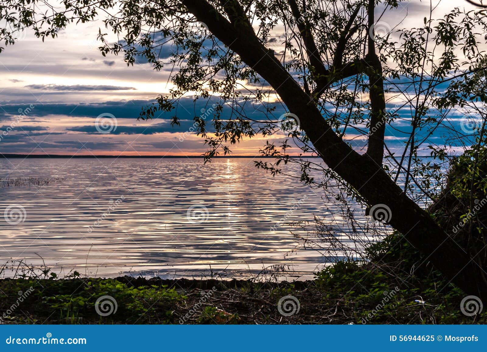 Dark tree stock image. Image of river, path, coast, clouds - 56944625