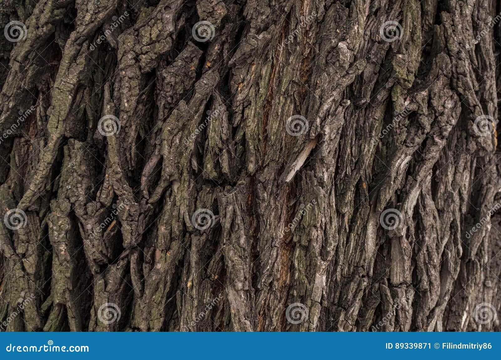 Dark tree bark texture stock image. Image of timber, grey - 89339871